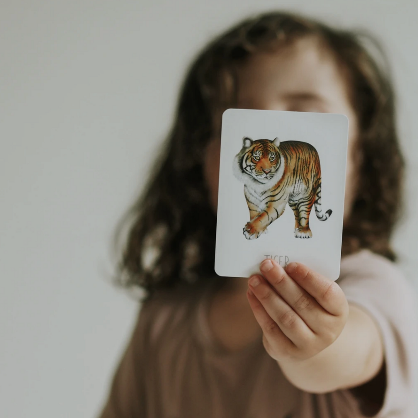 MODERN MONTY - Animals Snap & Go Fish – FOUND by Flynn