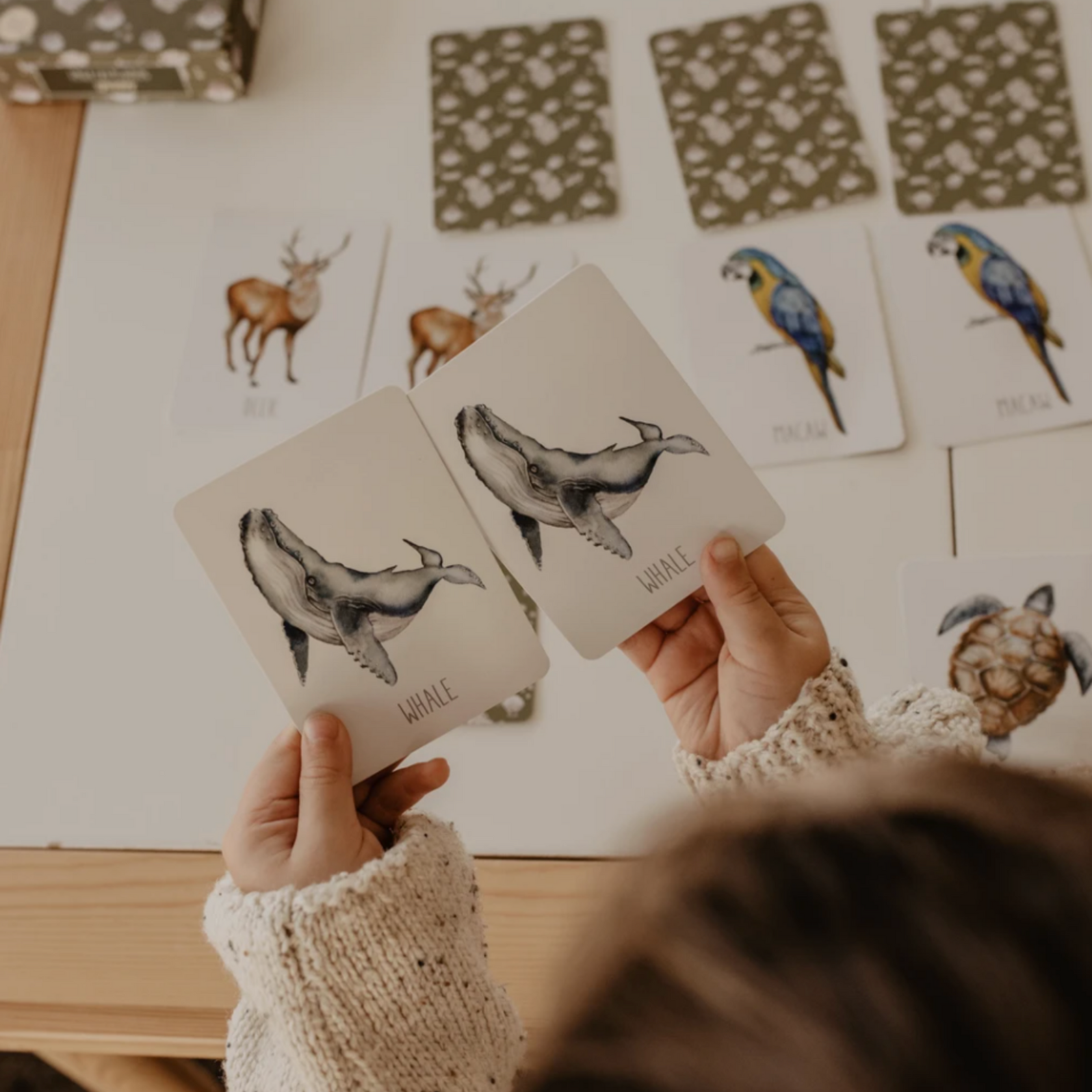 MODERN MONTY - Animals Snap & Go Fish – FOUND by Flynn